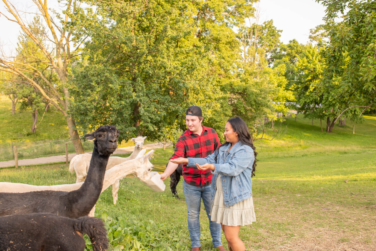 Riverside Oasis Farm: Your Yurt Glamping Stay Near Niagara, Ontario
