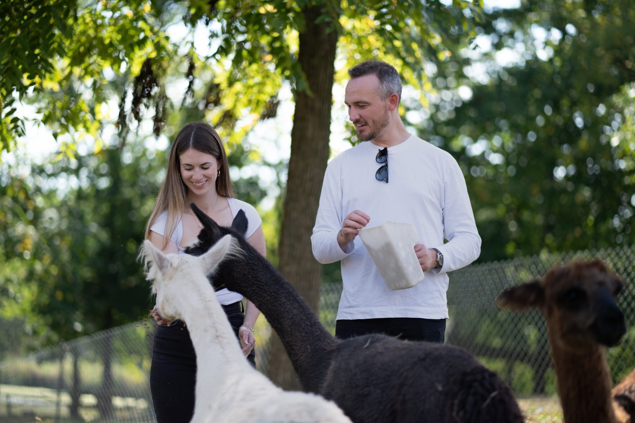 Minimoon Package - Riverside Oasis Farm